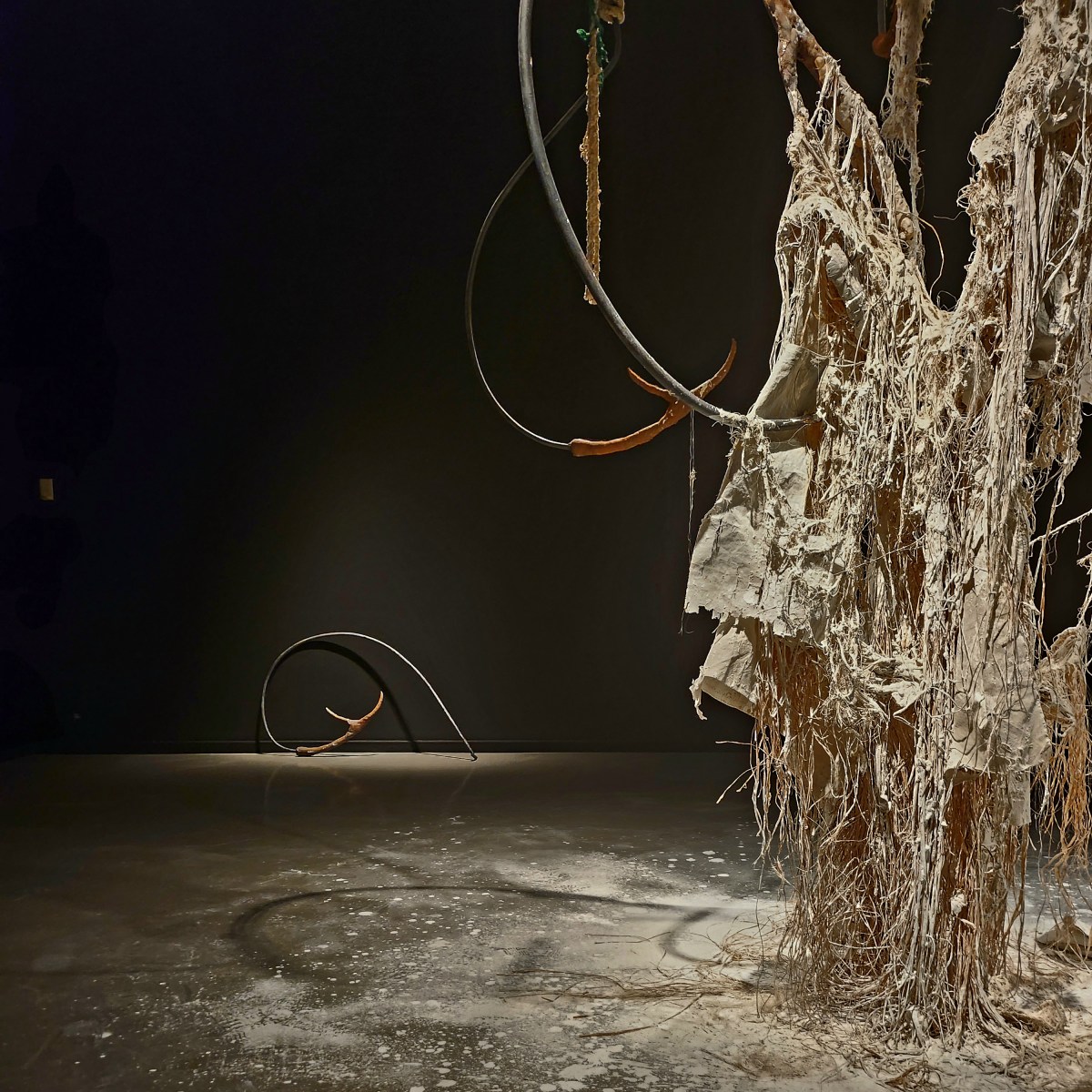 May you break free and outlive your enemy // Dominique White – CONNIE HOPE