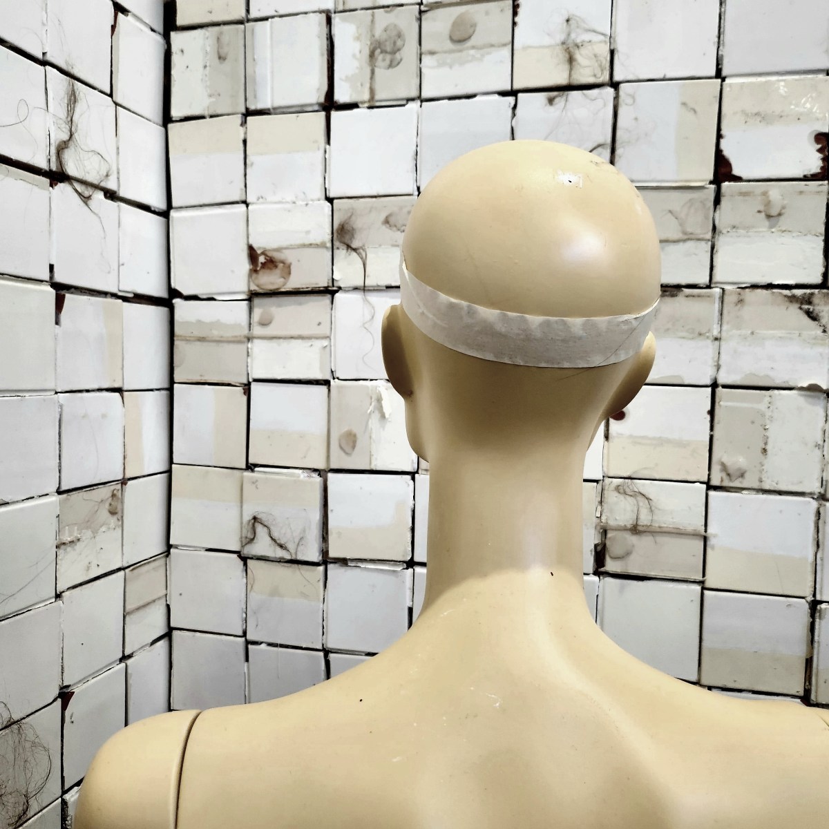 In conversation with Tina O’Connell // – CONNIE HOPE